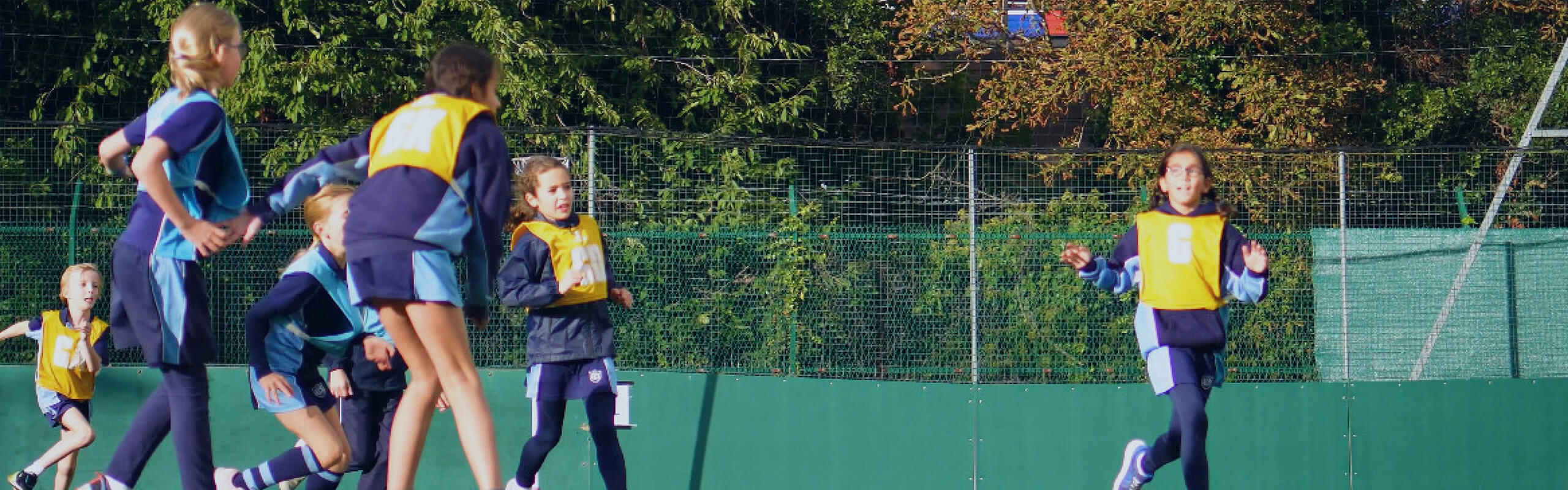 School Sports Programme - Rocks Lane